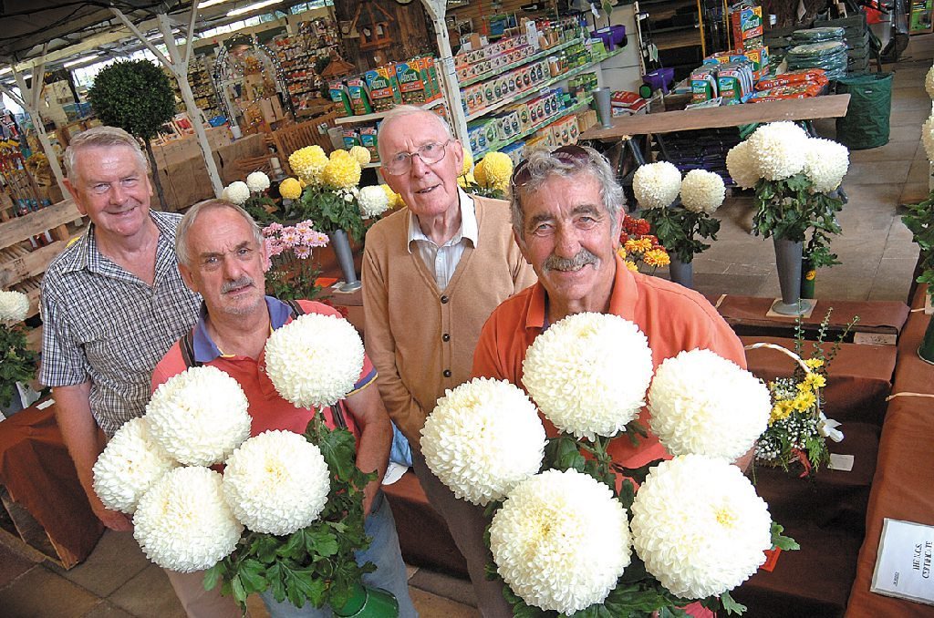 Bromsgrove's Burcot Garden Centre to host annual Chrysanthemum ...