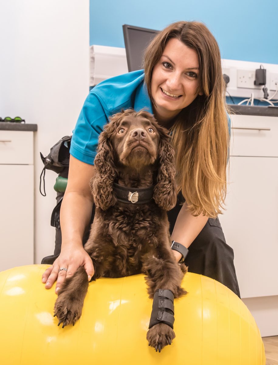 Canine arthritis expert from Bromsgrove vets to give free talk to help ...