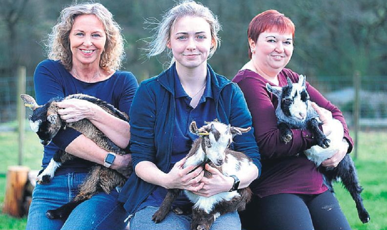 Dodford Children's Farm the 'goat to' place as local companies sponsor ...