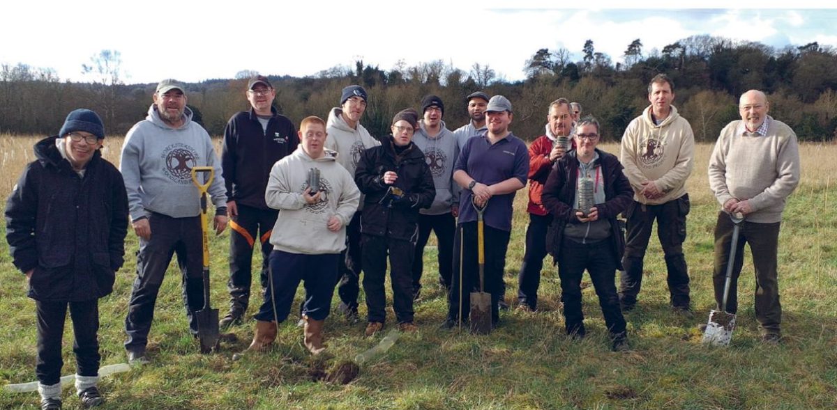 More than 16,500 trees have now been planted across Worcestershire for ...
