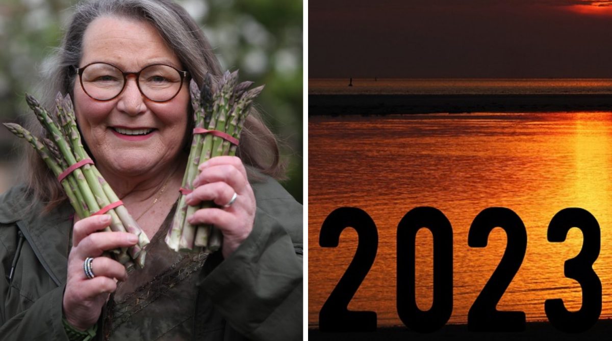 New year, new spears - Worcestershire's 'Asparamancer' uses asparagus ...