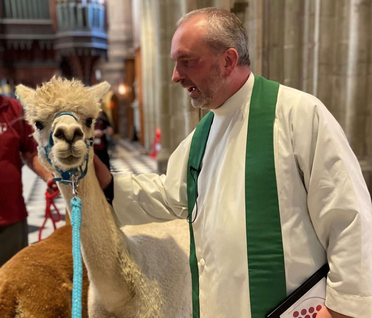 BBC's One Show say no,no,no...yes to airing Worcester Cathedral's Vicar ...
