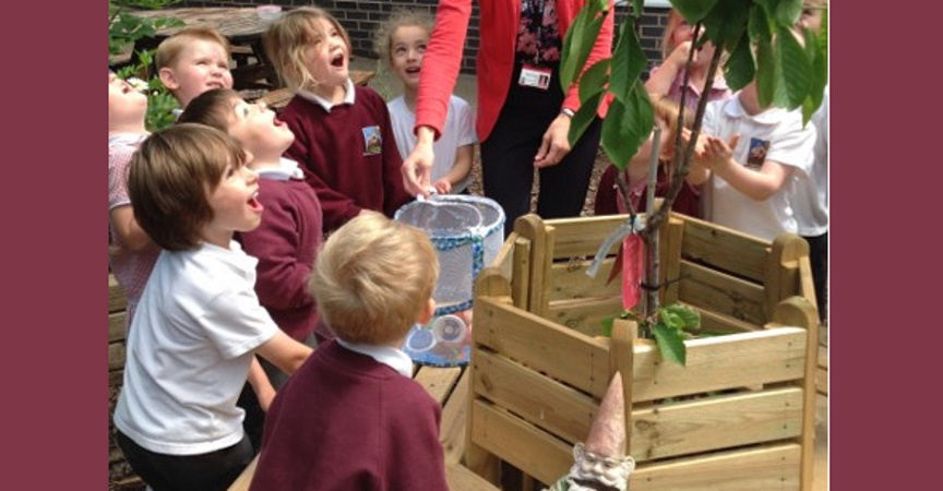 Delight for Dodford First School pupils in Bromsgrove after 'growing ...