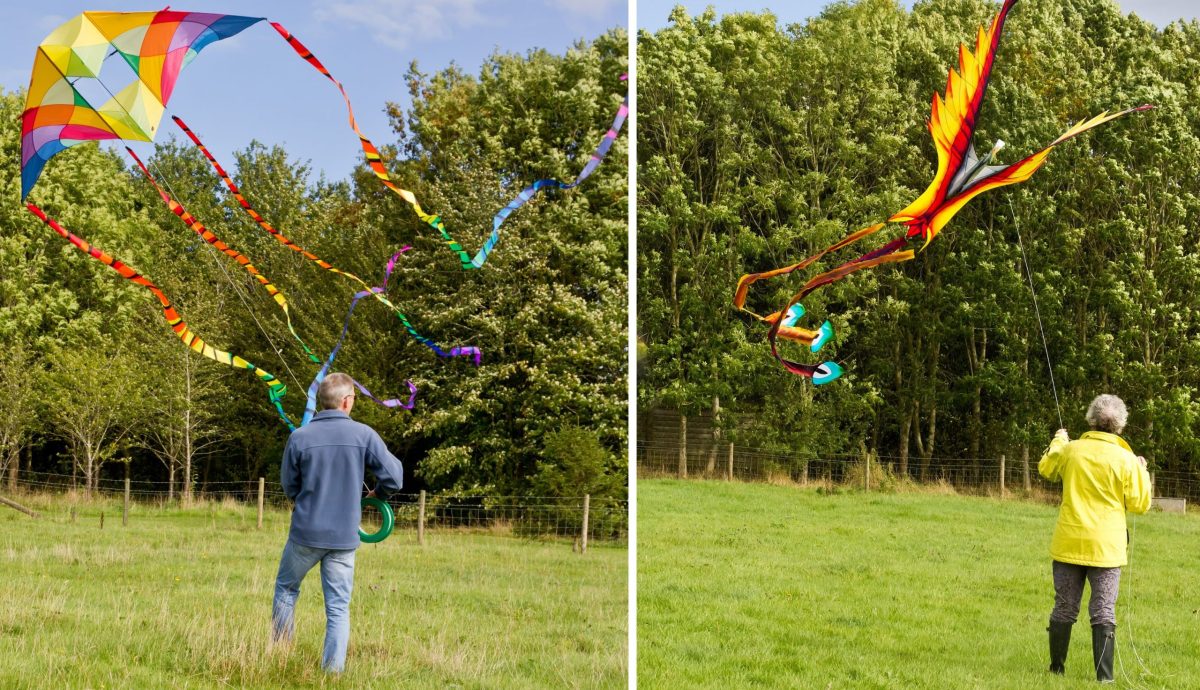 FREE Kite Day coming to Jinney Ring Craft Centre in Hanbury to raise ...