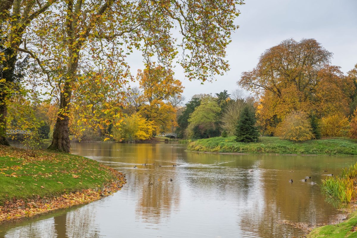 Croome named among National Trust's best autumnal walks - The ...