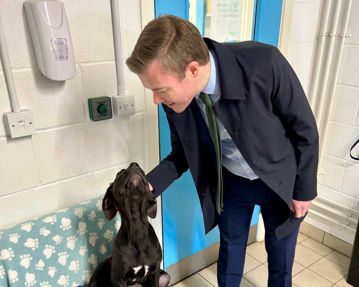 Bromsgrove MP backs bill for tighter regulation of animal shelters ...