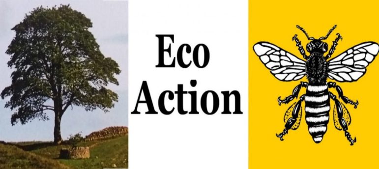ECO ACTION - Urgent need to save water - and here's what you can do ...