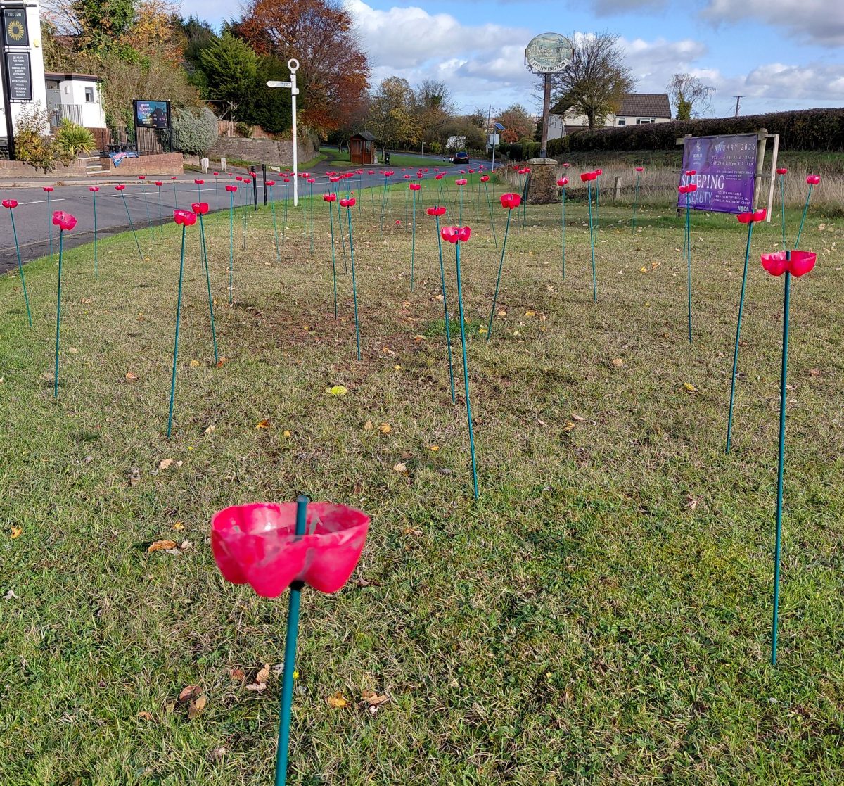 Romsley's St Kenelm's Scout Group's Remembrance poppy display
