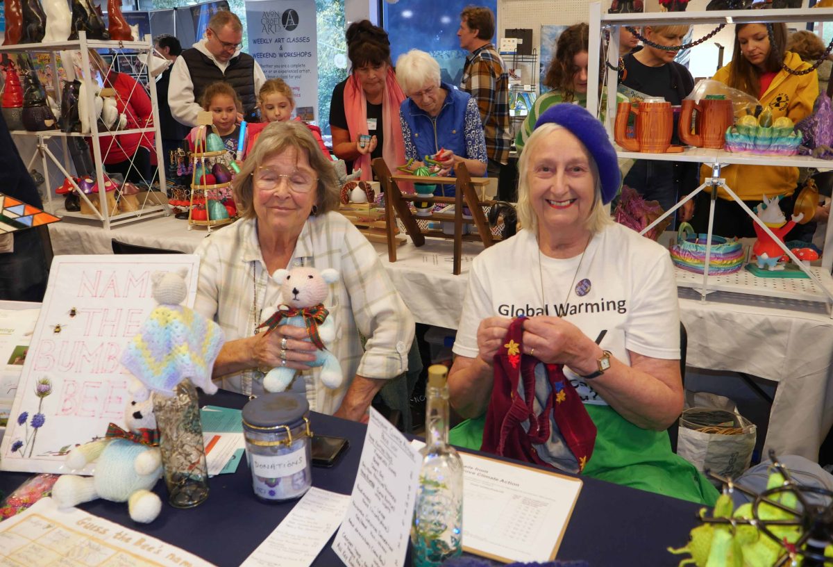 Bromsgrove Creative Arts Showcase hails successful 2025