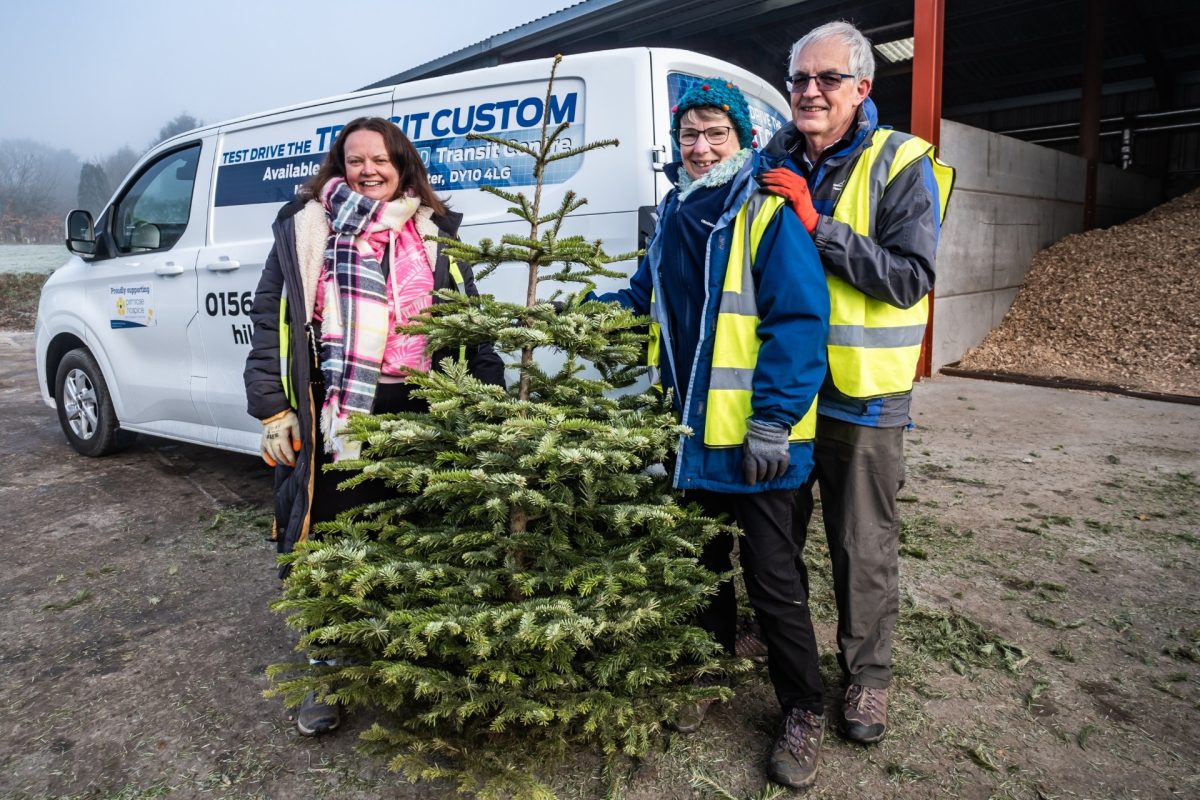 TREECYCLE - Primrose Hospice to collect Christmas trees in Bromsgrove ...