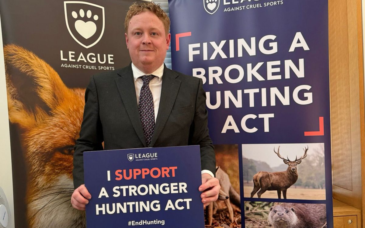Bromsgrove, Droitwich and Redditch MPs clash over trail hunting ban ...